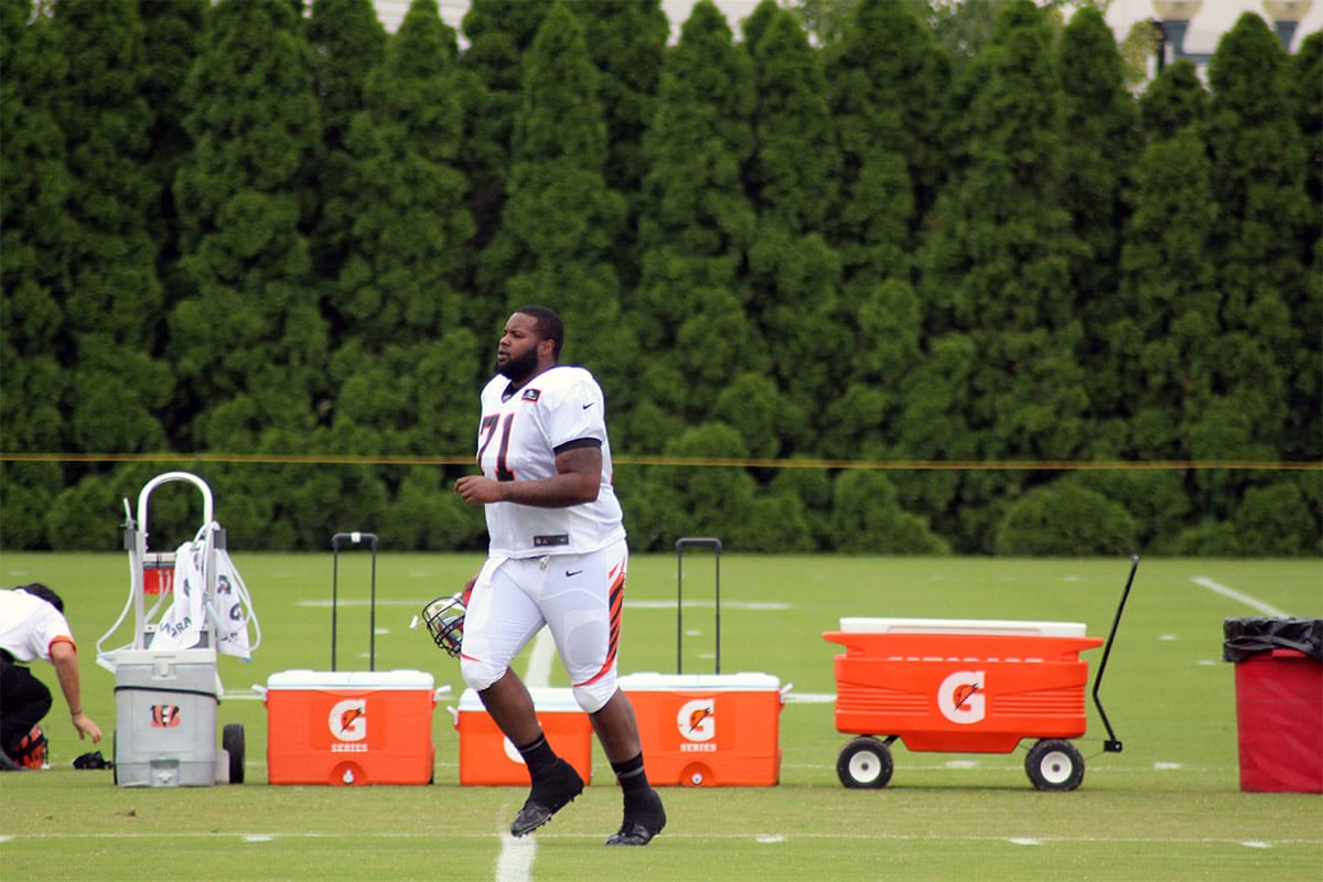 Report: Andre Smith Signs With Vikings - Vikings Territory