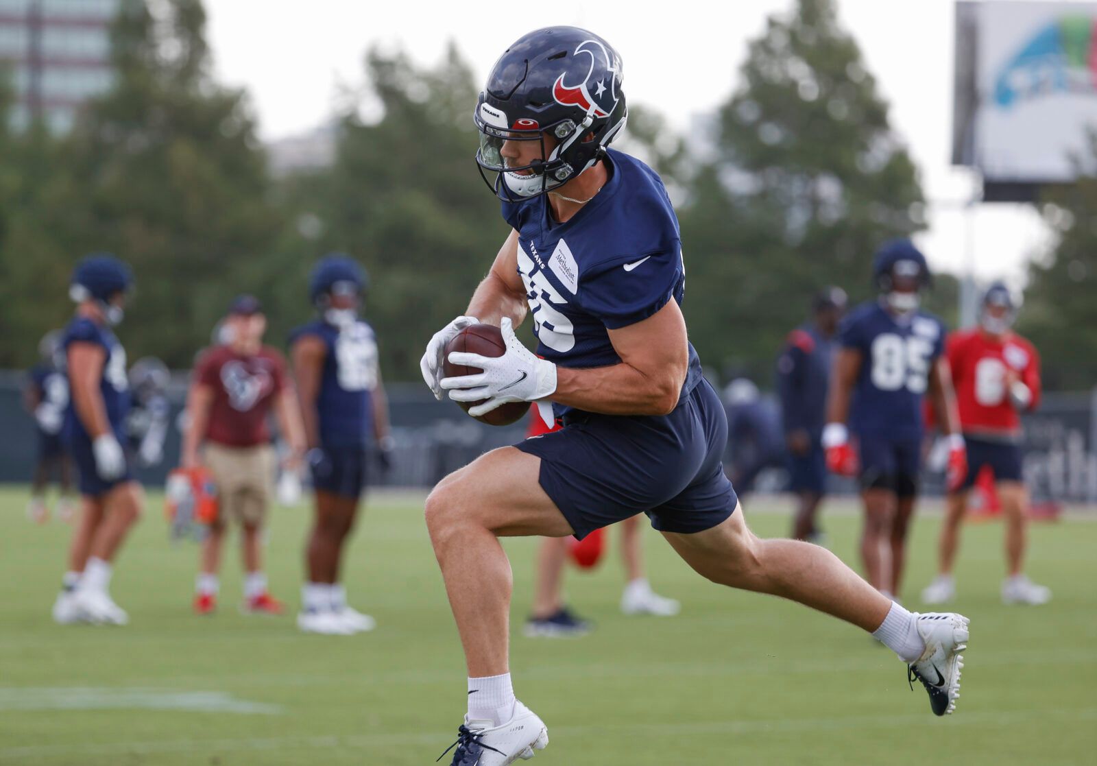 Texans Cut Former Vikings Receiver - Vikings Territory