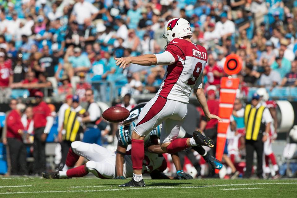 Vikings Sign Punter Ryan Quigley - Vikings Territory