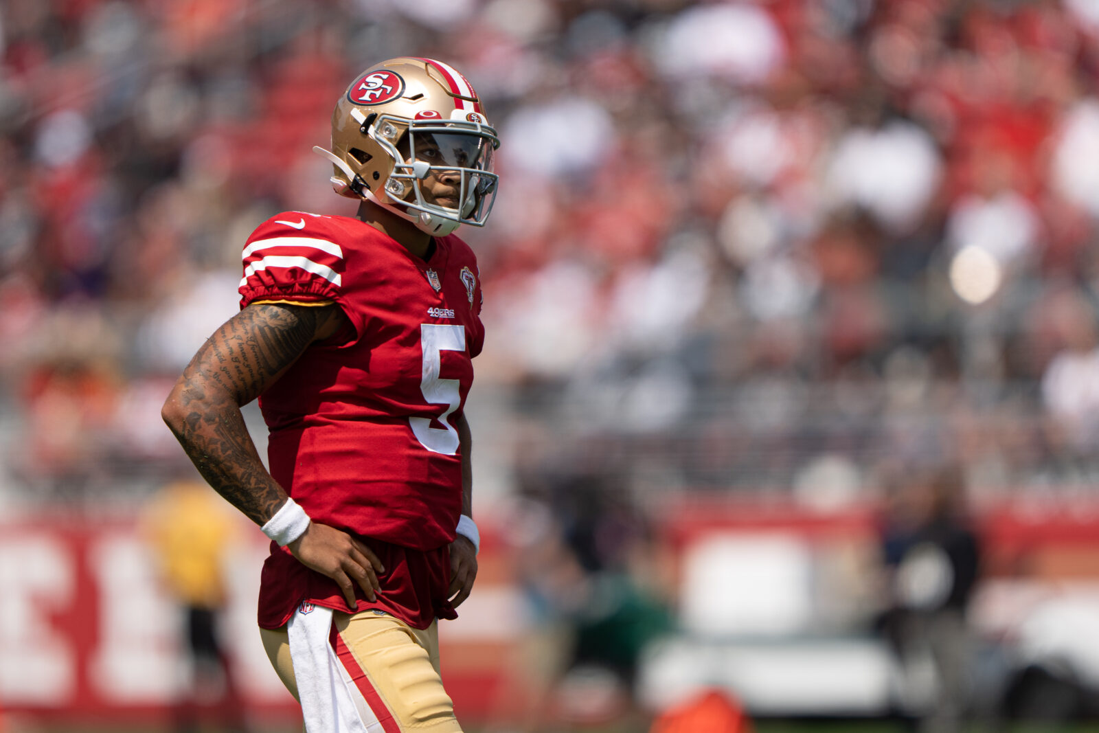 The Wobby Series: NFC West Preview - Vikings Territory