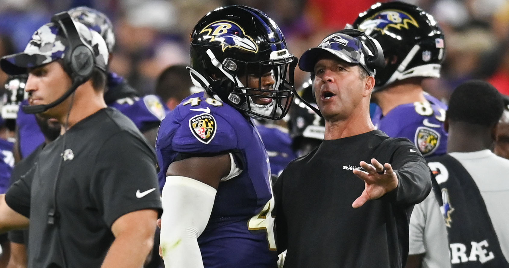 Vikings Add New Defender for Home Stretch